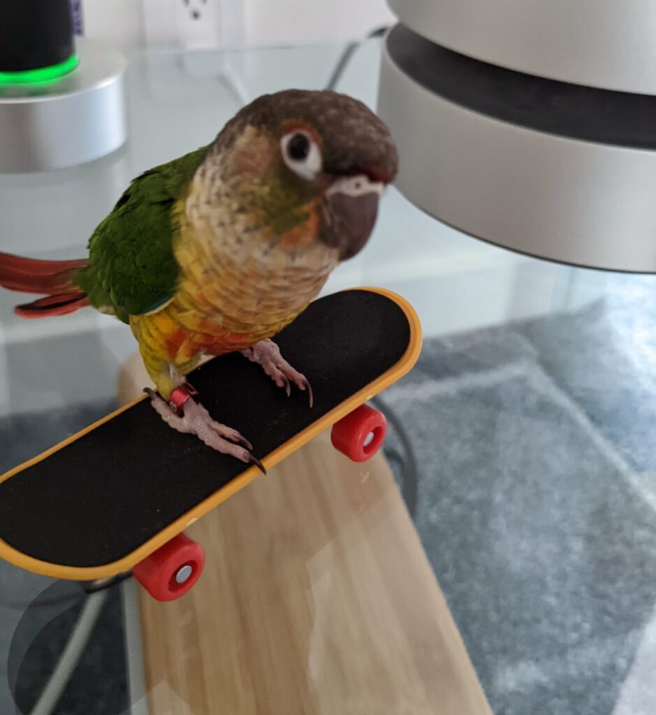 Meet the Team: Jamie Papp – U.S. HealthTek